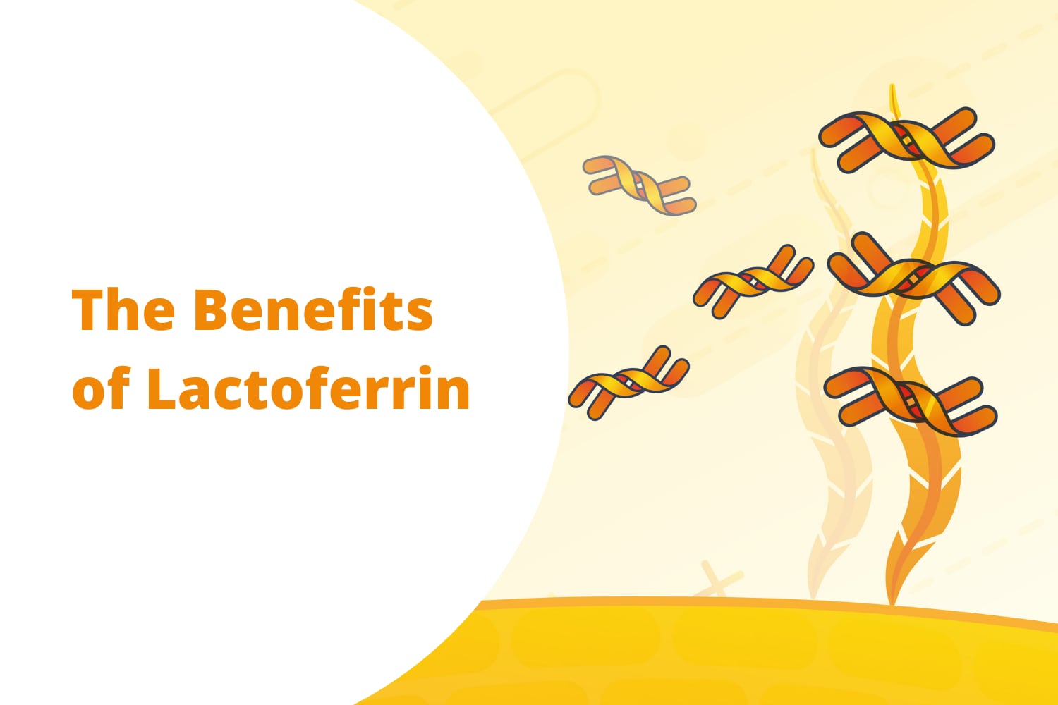 What Are the Benefits of Lactoferrin? | Biotis